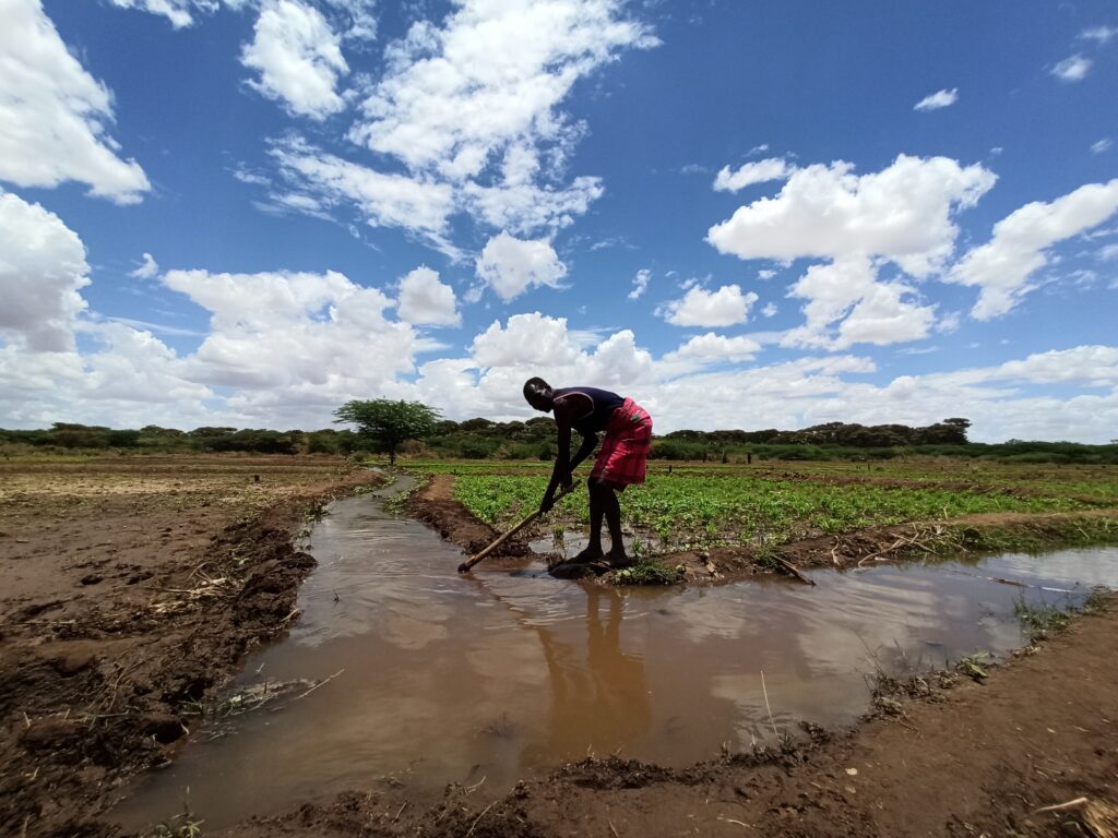 Farmers enjoy a good harvest from a rehabilitated farm » PanAfricare Kenya