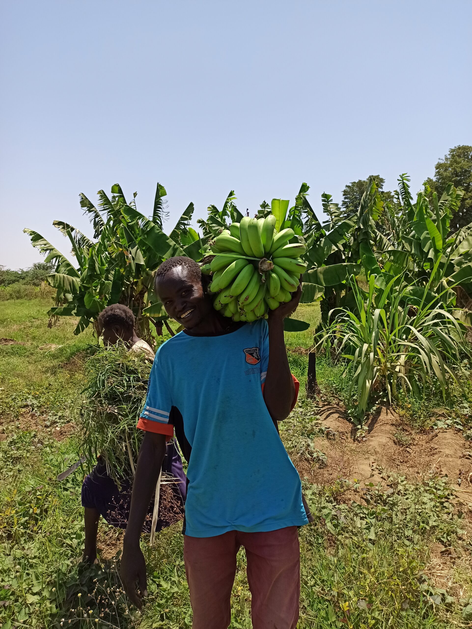 Youth group turns to Agribusiness to combat poverty and food insecurity ...